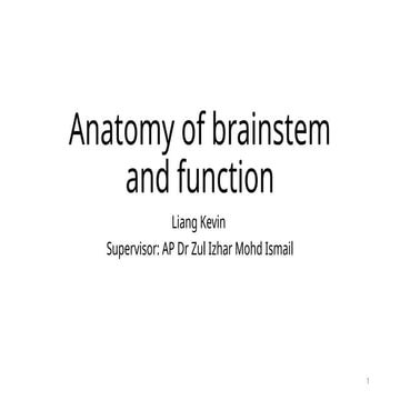 Neuroanatomy- Anatomy brainstem and function LK.pptx