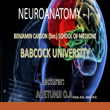 Neuroanatomy i | PPTX