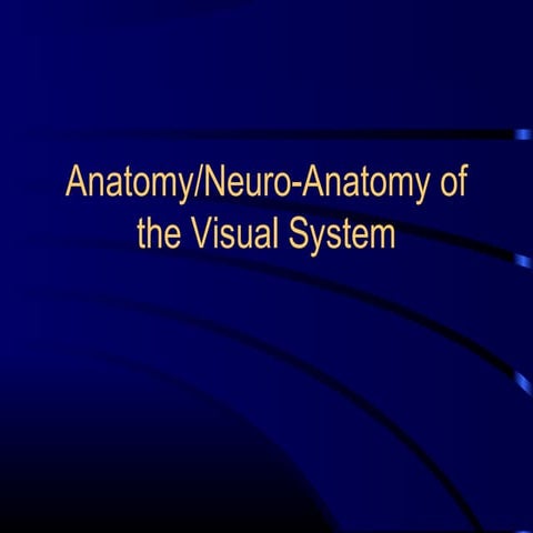 Neuroanatomy lec a | PPT
