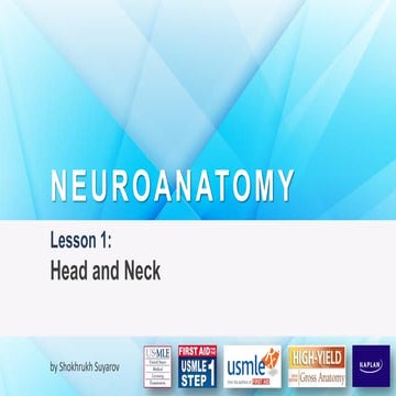 Neuroanatomy lesson 1 Head and Neck.pdf