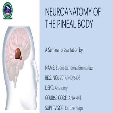 A seminar presentation on the neuroanatomy of the pineal body | PPTX