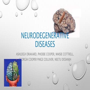 Neurodegenerative diseases | PPT