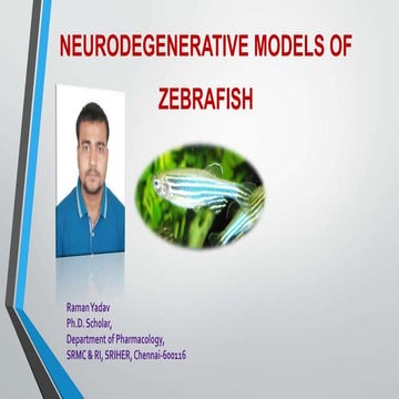 NEURODEGENERATIVE MODELS OF ZEBRAFISH (RAMAN).pptx