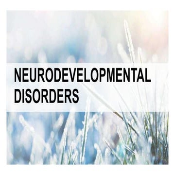 Neurodevelopmental-Disorders.pptx,docsss | PPT