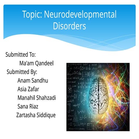 Neurodevelopmental_Disorders_Presentation-2.pptx