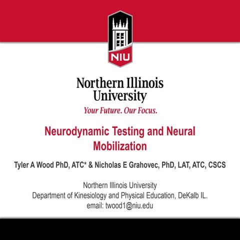 Neurodynamic Testing And Neural Mobilization Pdf