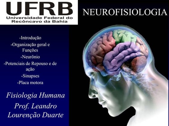 Medresumos 2016 Neuroanatomia 09 Estrutura E Funções Do Cerebelo Pdf