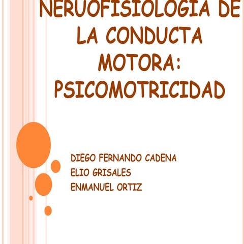 Neurofisiología de la conducta motora, psicomotricidad | PPTX