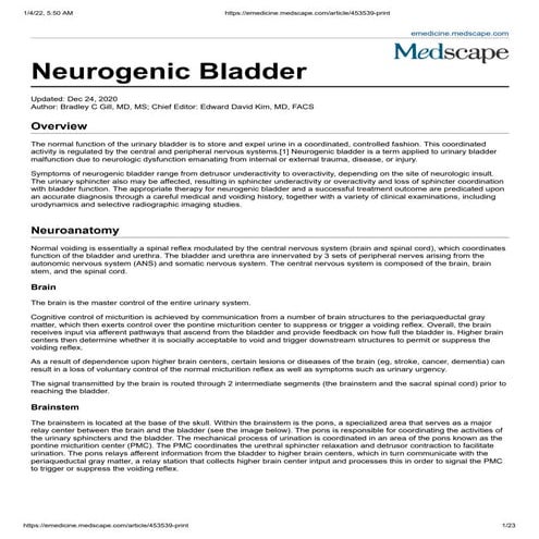 Neurogenic bladder | PDF | Brain and Nervous System Disorders ...