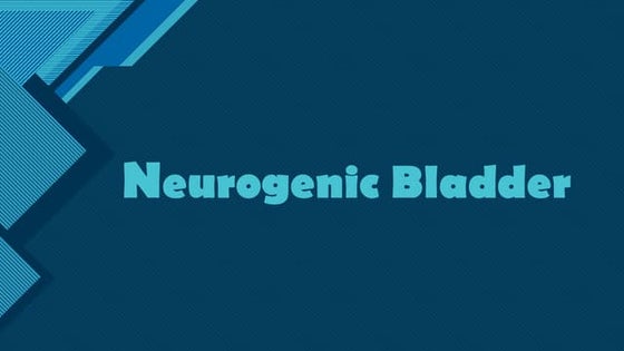 Overactive bladder patient education.ppt
