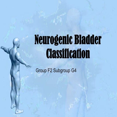 Neurogenic bladder classification | PPTX