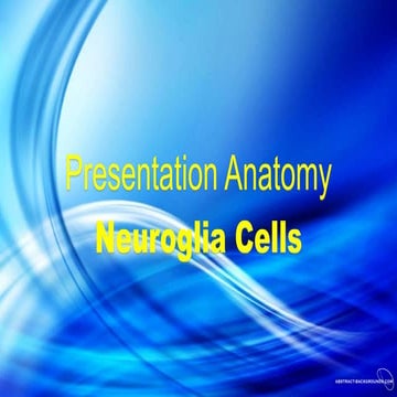 Classification,Function and location fo neuroglia cells | PPT
