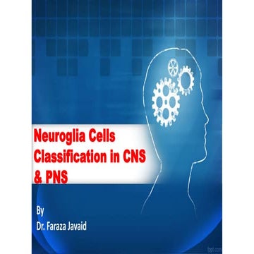 NEUROGLIA CELLS, CLASSIFICATION IN CNS & PNS.pptx