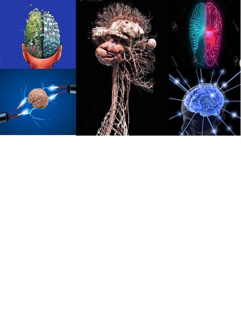 Presentation on neural network | PPTX