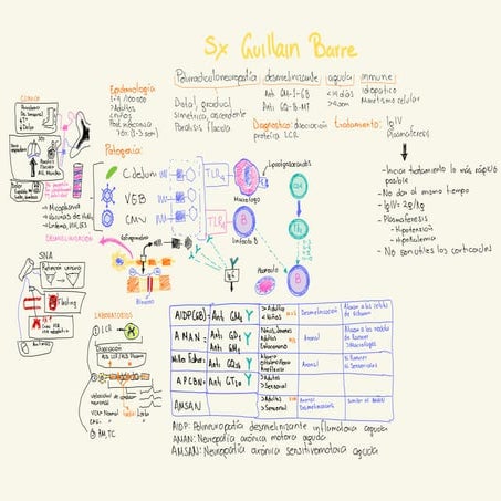 Síndrome de guillian barre fisiopatologia | PDF