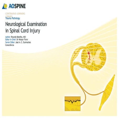 Neurological_examination_in_SCI_new.pptx