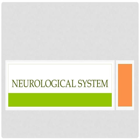 Neurological System , CNS, PNC, cranial nerves, facial nerves | PPTX