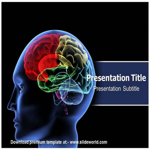 Neurology Powerpoint Templates On Neuroscience PowerPoint Template