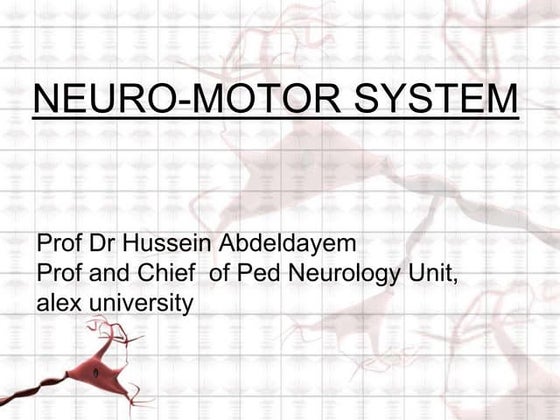 AUTONOMIC NERVOUS SYSTEM (ANS) | PPT