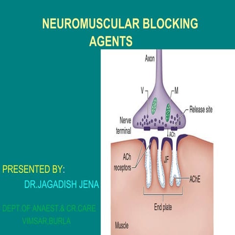 Neuromuscular blocking agents | PPT