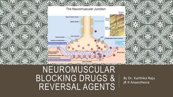 Muscle Relaxants DMR & NDMR | PDF | Physical Therapy | Wellness