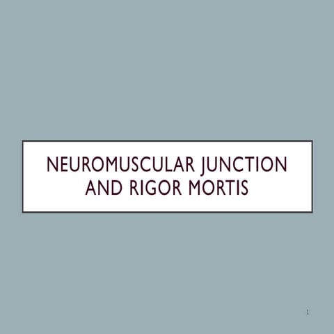 Neuro_muscular_junction.pdf physiology.m | PDF