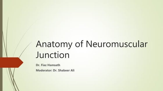 Neuromuscular junction (nmj ) It's essential for muscle contraction and ...