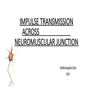 Detailed Overview of Impulse Transmission at the Neuromuscular Junction ...