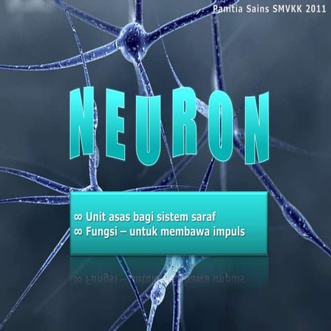 Neuron | PPTX