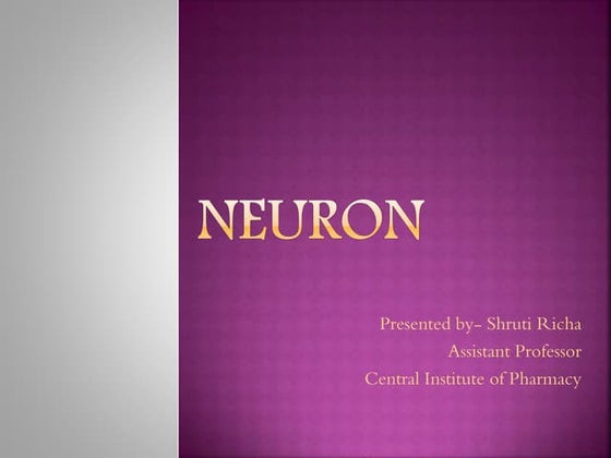 Anatomy of Nephron | PPTX