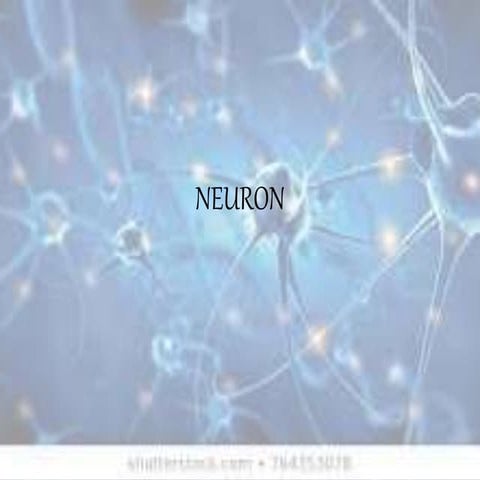 Neuron and its types.Prepared especially for BSc Nursing students | PDF