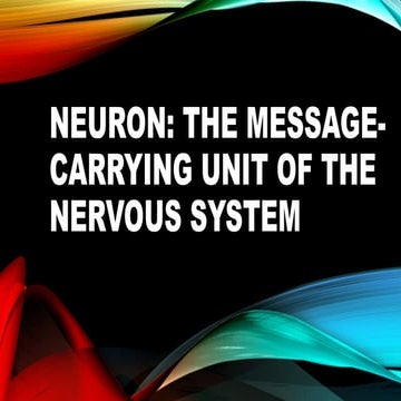 Types of neurons grade 10 third quarter lesson | PPTX