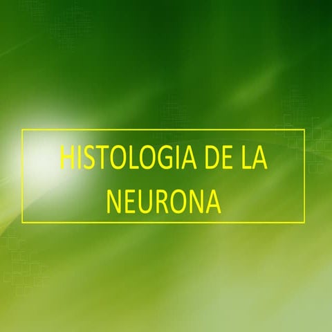 La neurona... | PPTX