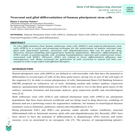 Neuronal and glial differentiation of human pluripotent stem cells | PDF | Brain and Nervous ...