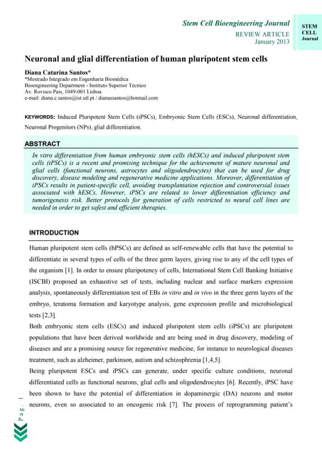 Induced pluripotent stem cells | PPT