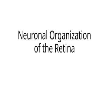The Neuronal Organization Retina PPT NIH | PPTX