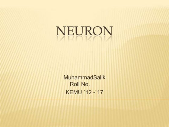 Neuron | PPTX | Brain and Nervous System Disorders | Diseases and ...