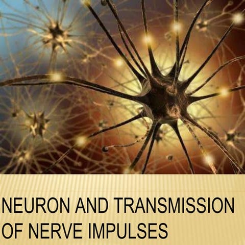 Neurons and transmission of nerve impulses | PPTX