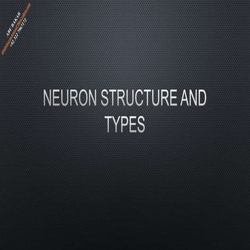 Neuron structure and types | PPT