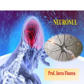 neuronul (1).pdf