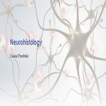 Introduction to Neuropathology | PPT