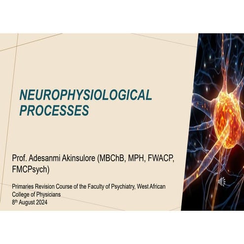 neurophysiology and neuroanatomy humansB | PDF