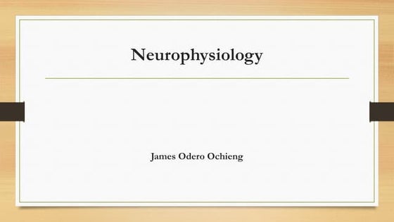 Classification and poperties of Nerve fibres | PPT