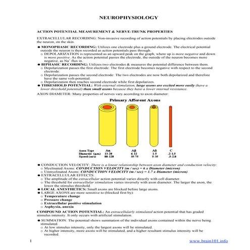 Neuro physiology notes | PDF | Brain and Nervous System Disorders ...