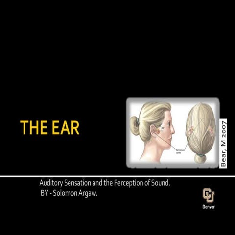 Physiology of hearing | PPTX