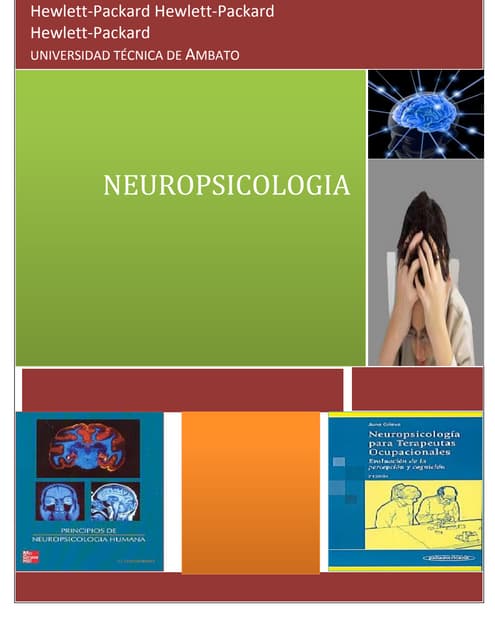 Neuropsicologia | PPT