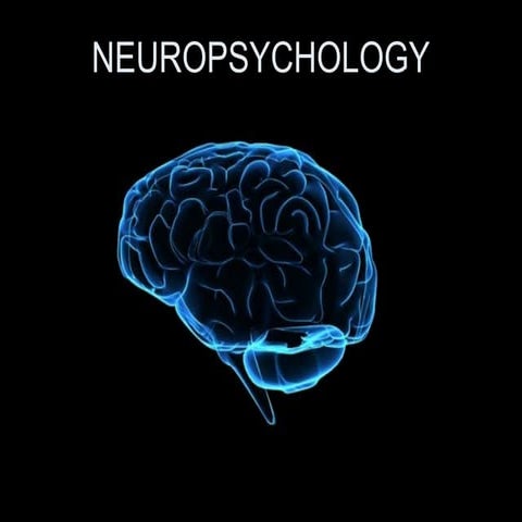 NEUROPSYCHOLOGY Presentation on Piaget's | PPT