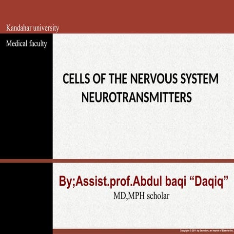 Neuropysiology 1st lecture (NS cells & synapses)..ppt