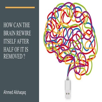 HOW CAN THE BRAIN REWIRE ITSELF AFTER HALF OF IT IS REMOVED | PPT