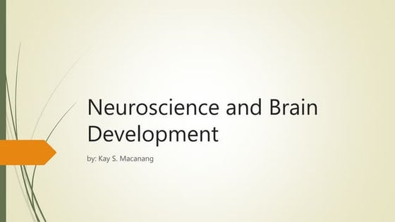 Education 1 : Brain development | PPT